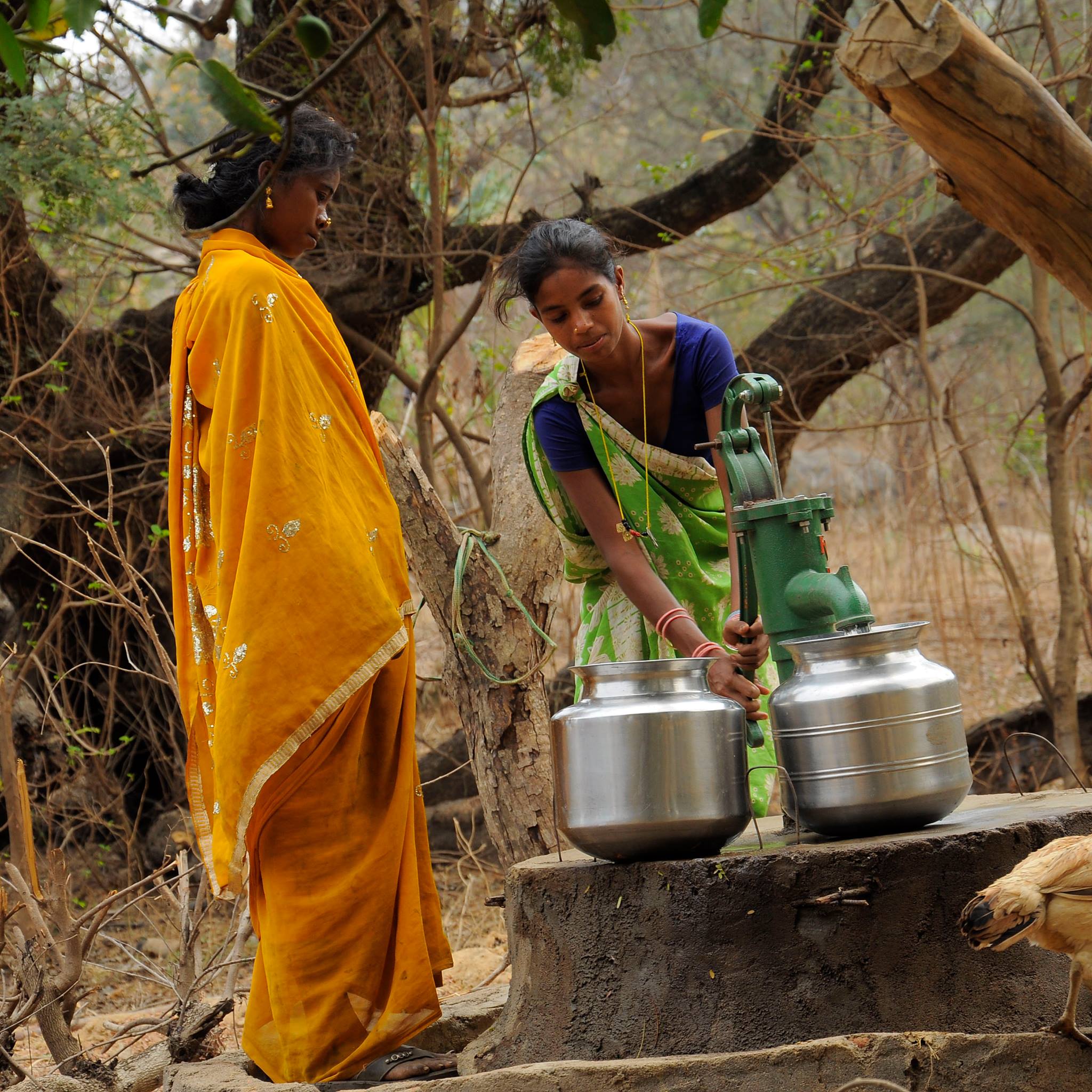 The Simplicity Factor and Oral Learners | ASSIST NEWS