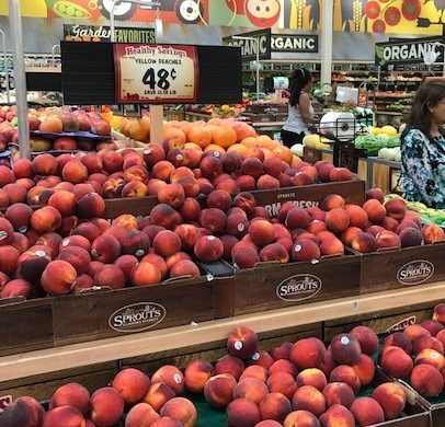 Online ‘Billy Grahams’ Calling 1M Young People To Fast and Pray In New ...